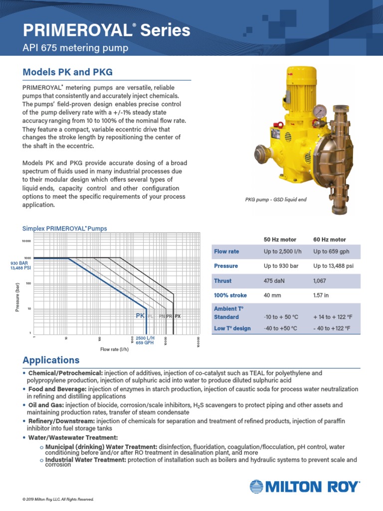 Primeroyal Series: API 675 Metering Pump | PDF | Pump | Valve