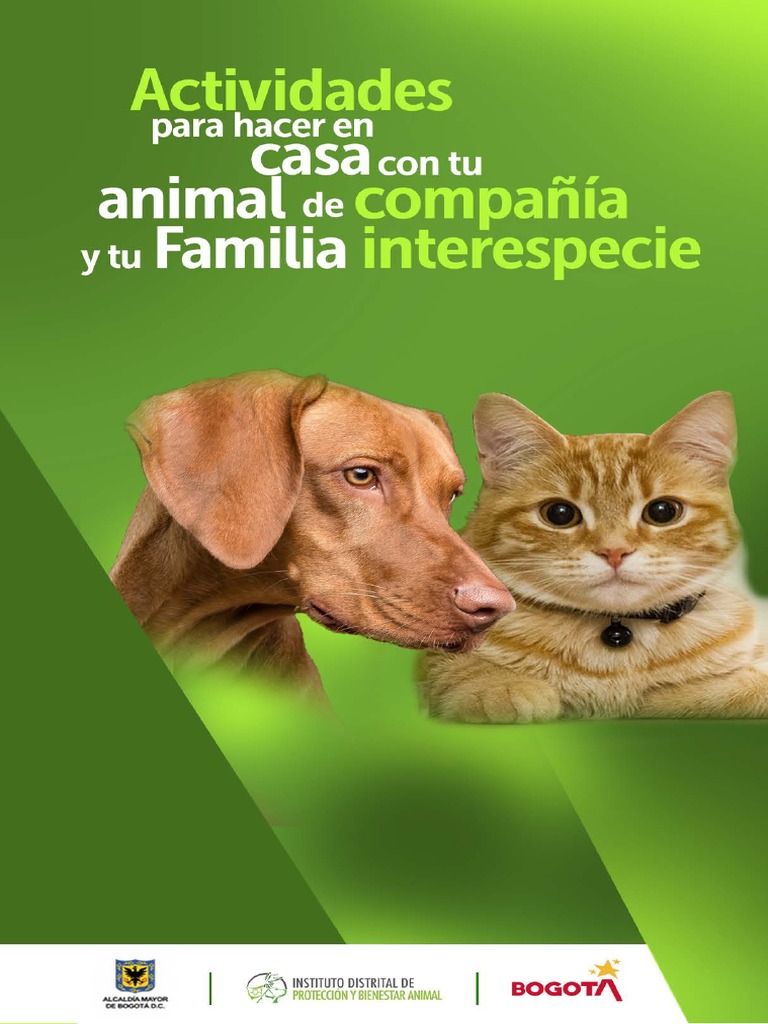 Actividades en Familia Interespecie | PDF | Cartón | Gatos