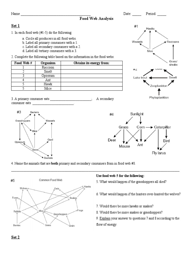 Food Web Analysis Set 1: Name - Date: - Period | PDF | Food Web ...