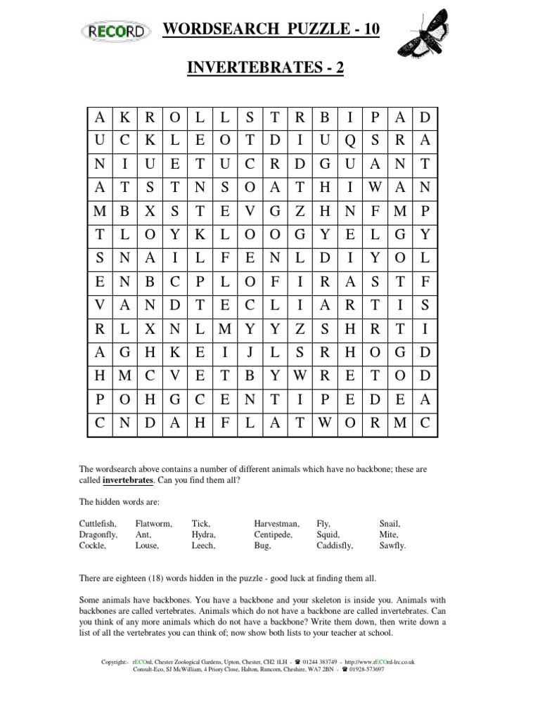 Invertabrates (Ekaitz) | PDF | Invertebrate | Biological Classification