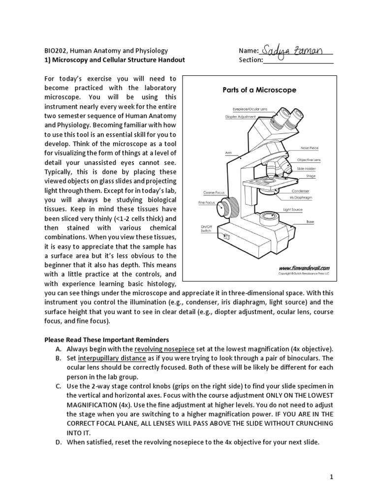 1) Microscopy Handout | PDF | Microscope | Optics