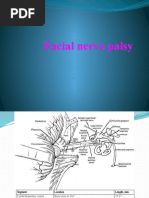 Grading Manual for Facial Muscle Testing | PDF | Human Anatomy | Human ...