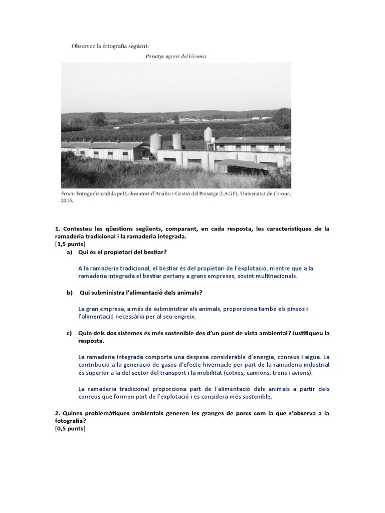Preguntas Sele Geo | PDF