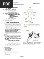 Understanding Joint End Feel Types | PDF | Elbow | Anatomical Terms Of ...