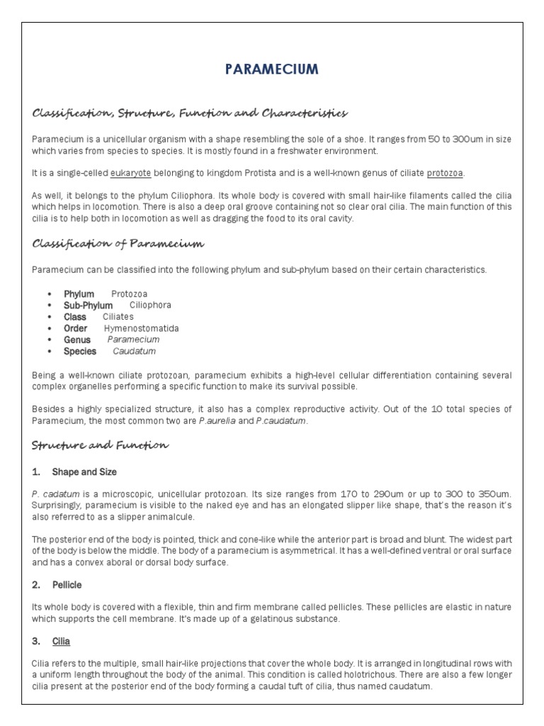 Paramecium: Classification, Structure, Function and Characteristics ...