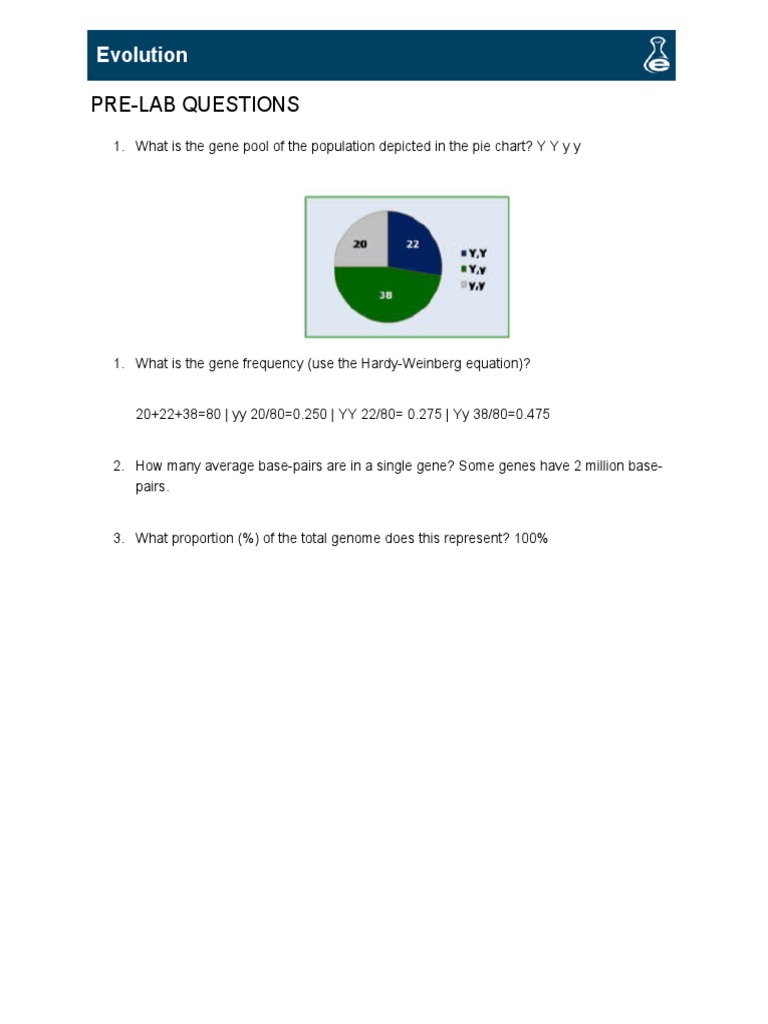 Biology Evolution Worksheet ANSWERS | PDF | Bat | Evolution