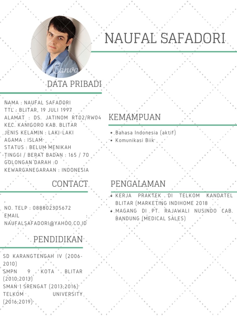 CV Naufal | PDF