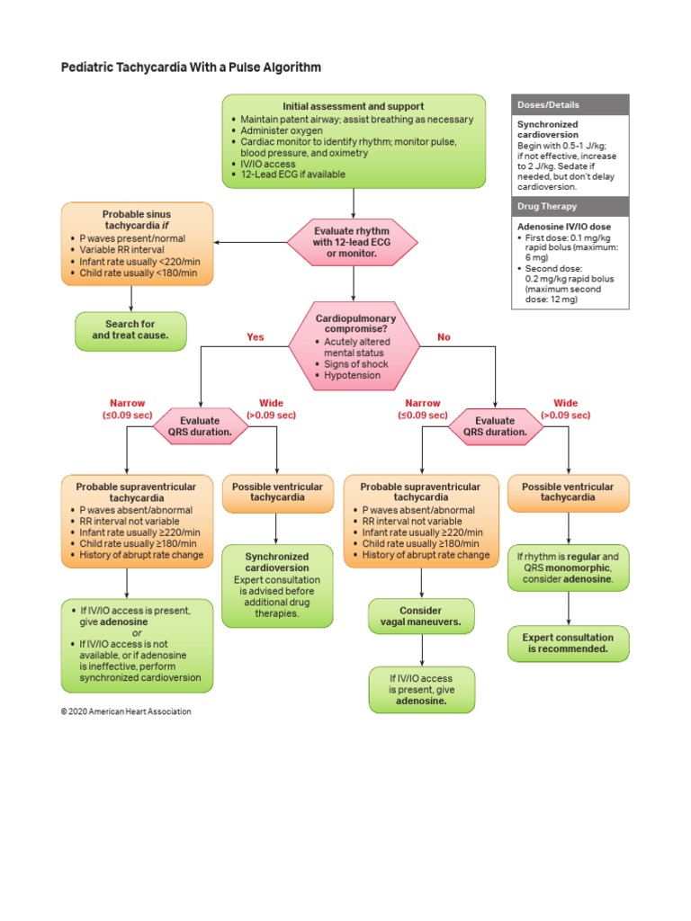 Pediatric Tachycardia With A Pulse Algorithm: Yes No | PDF | Cardiac Electrophysiology ...