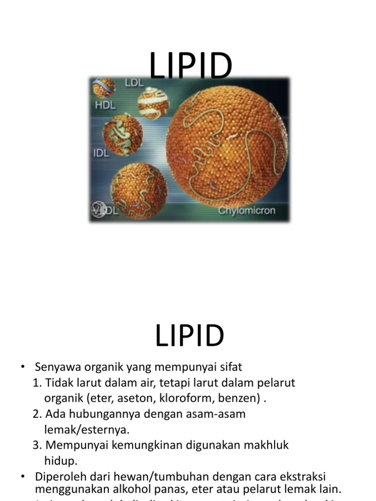 Lipid Dan Asam Lemak | PDF