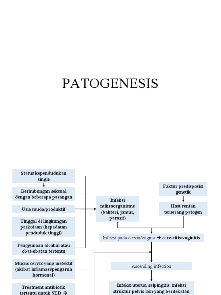 Patogenesis Patofisiologi Salpingitis, Pelvic Inflammatory Disease | PDF