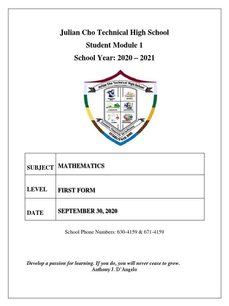 First Form Mathematics Module 1 | PDF | Division (Mathematics) | Numbers