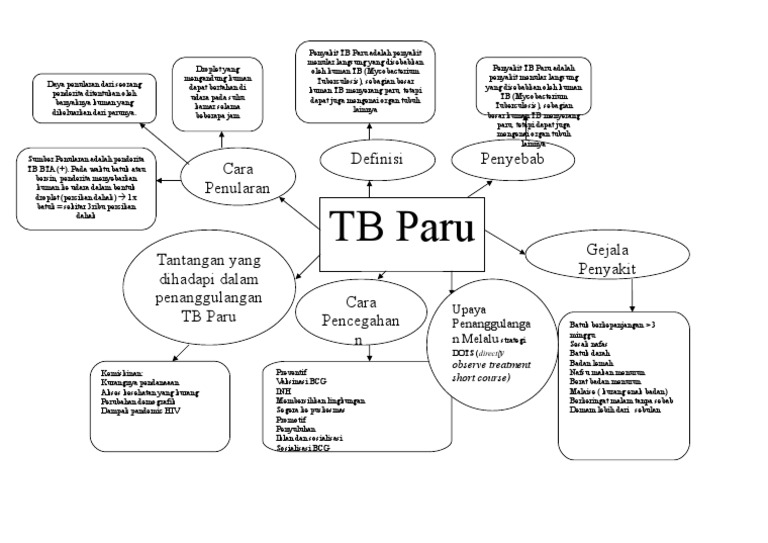 Mind Maping TB Paru | PDF