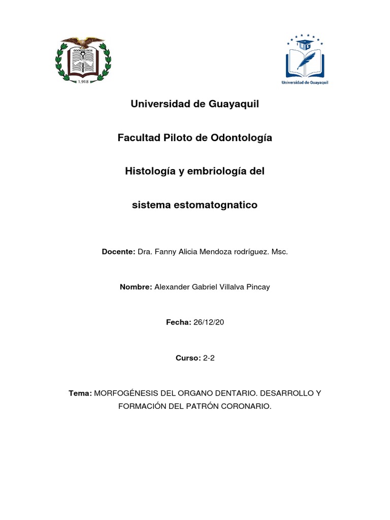 Morfogenesis Dentaria | PDF | Diente | Anatomía