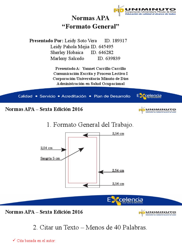Exposici N Normas APA | PDF