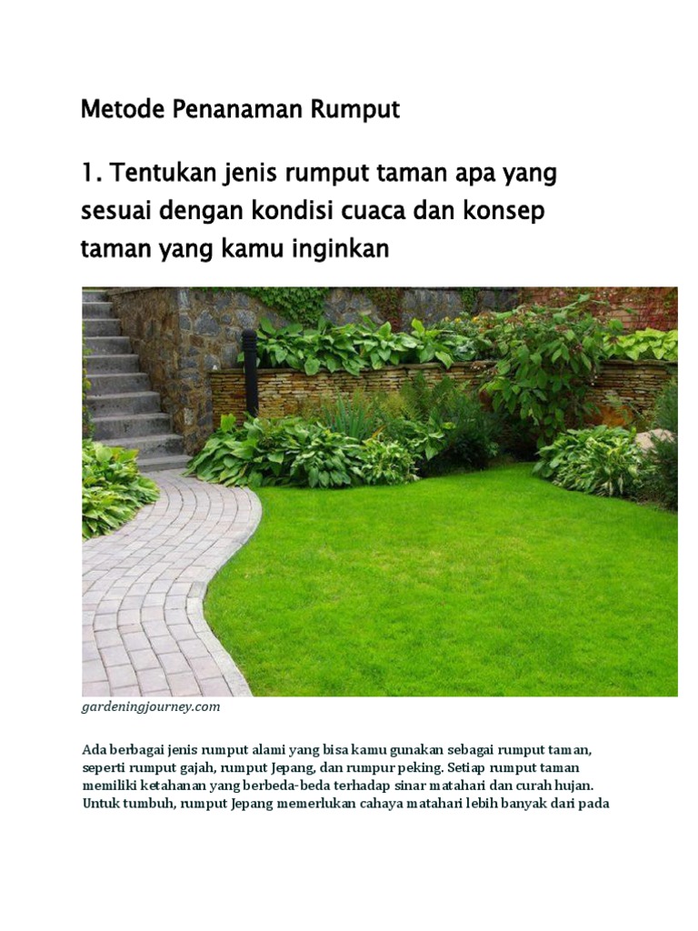 Metode Penanaman Rumput | PDF
