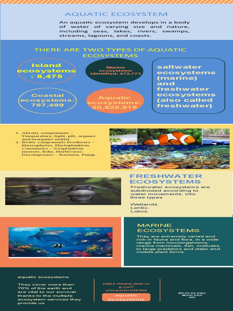 Aquatic Ecosystem: There Are Two Types of Aquatic Ecosystems | PDF ...