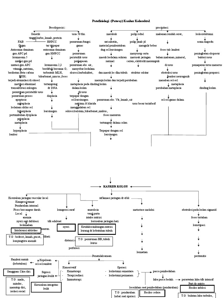 Patofisiologi (Patway) Kanker Kolorektal | PDF