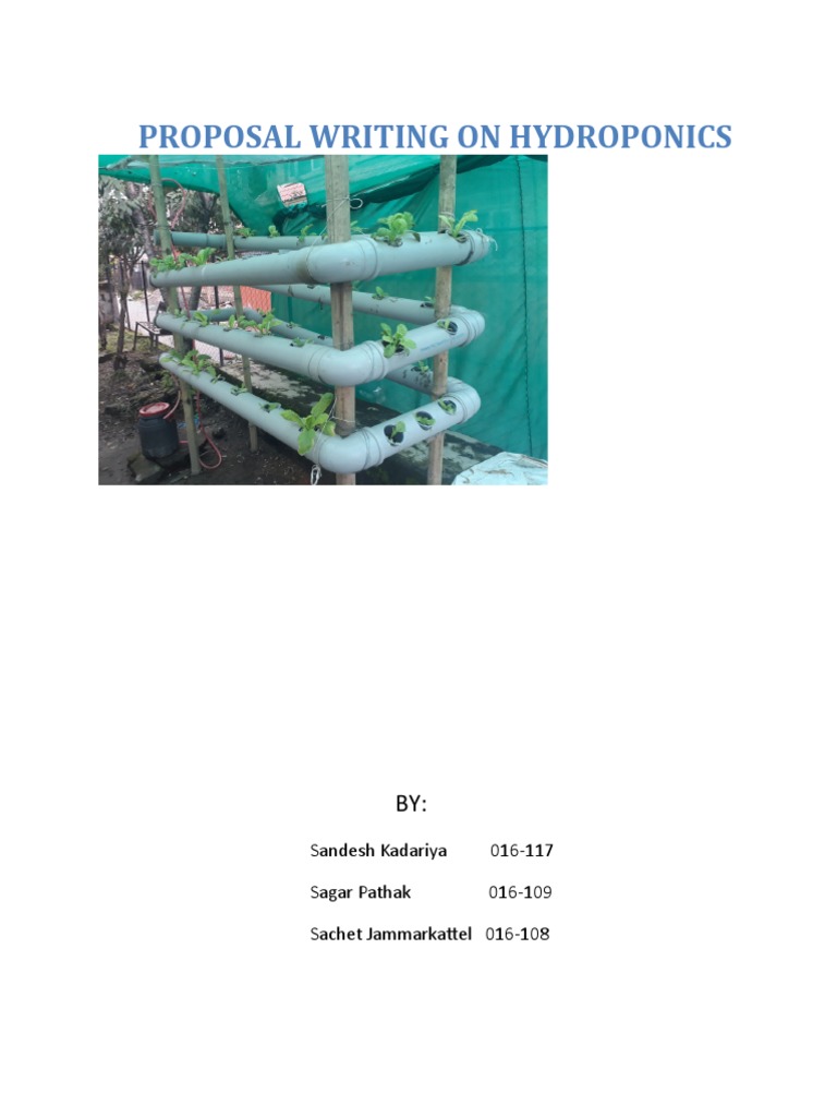 Proposal Hydroponic | PDF | Hydroponics | Agriculture