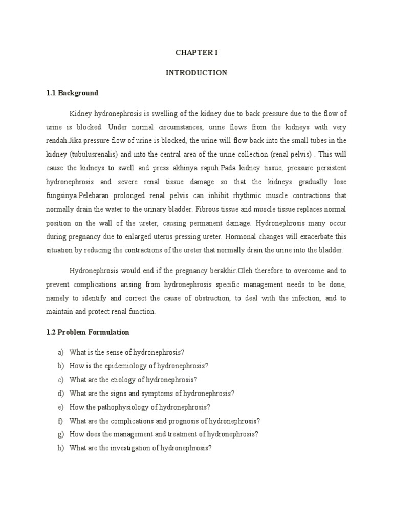 Nursing Care of Hydronephrosis | PDF | Urinary Bladder | Kidney