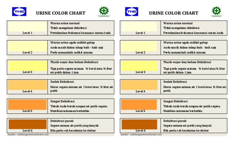Tabel Warna Urine dan Dehidrasi | PDF