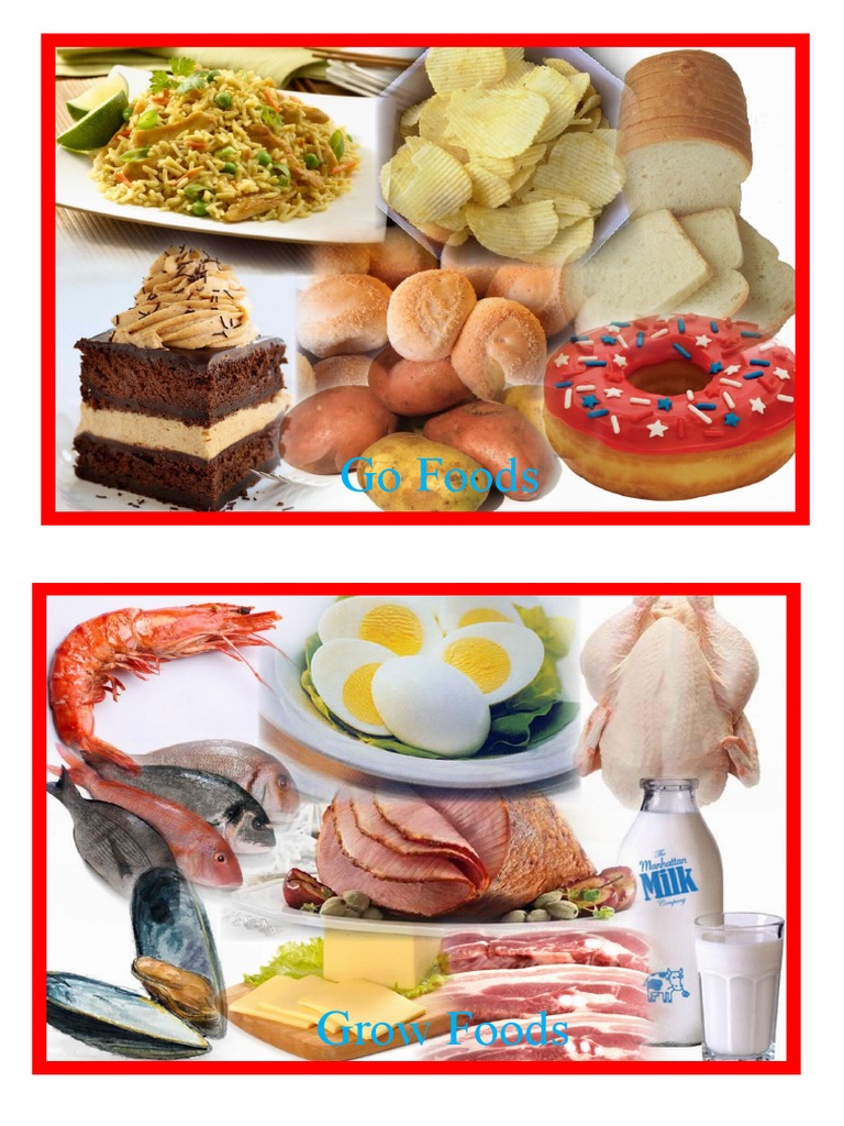 3 Basic Food Groups | PDF | Lifestyle