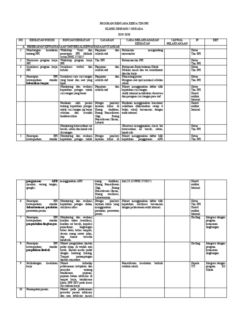 Program Kerja TIM PPI | PDF