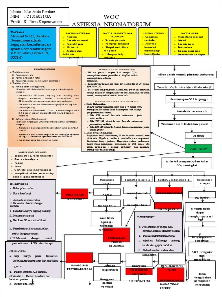 PDF Woc Asfiksia | PDF