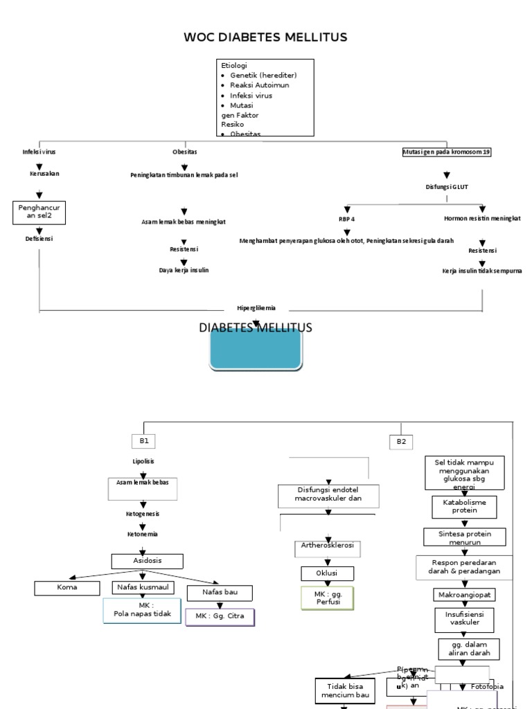 Woc Diabetes Mellitus Doc Dikonversi | PDF