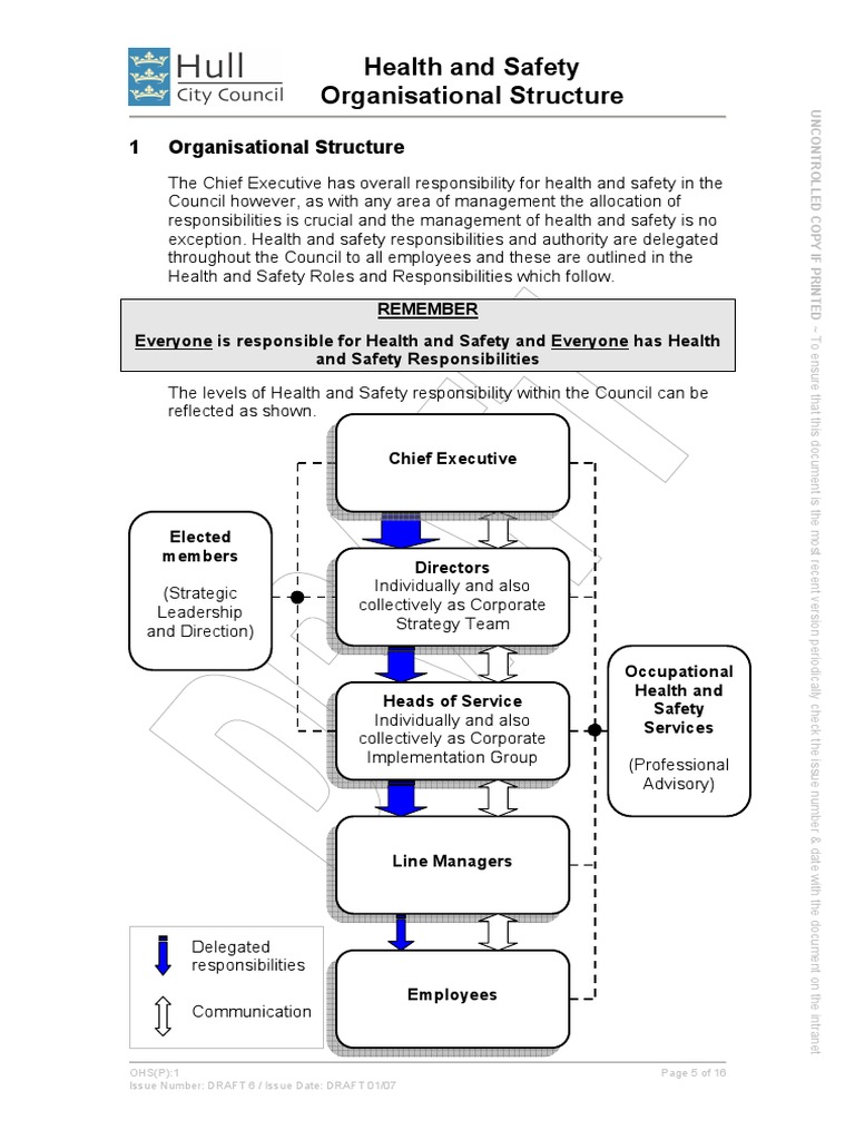 Health and Safety Organisational Structure | PDF
