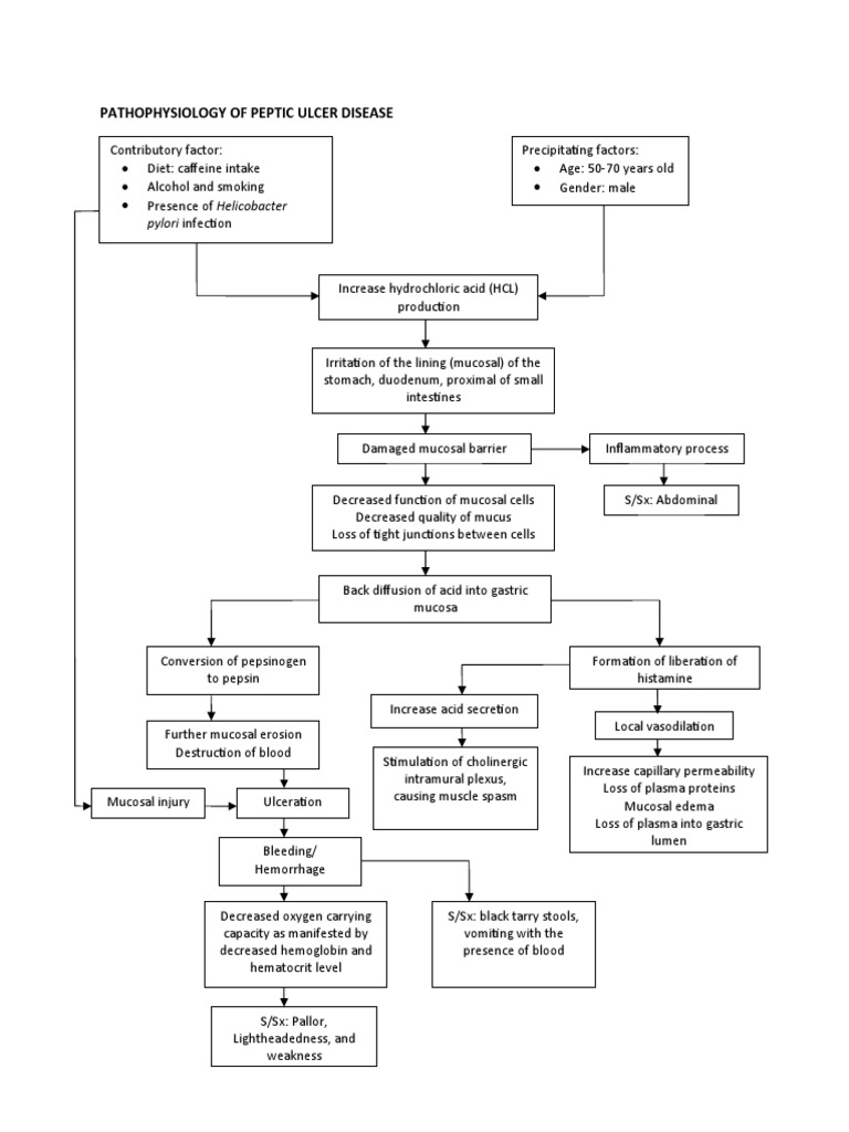 Pathophysiology of Peptic Ulcer Disease: Pylori Infection | PDF ...