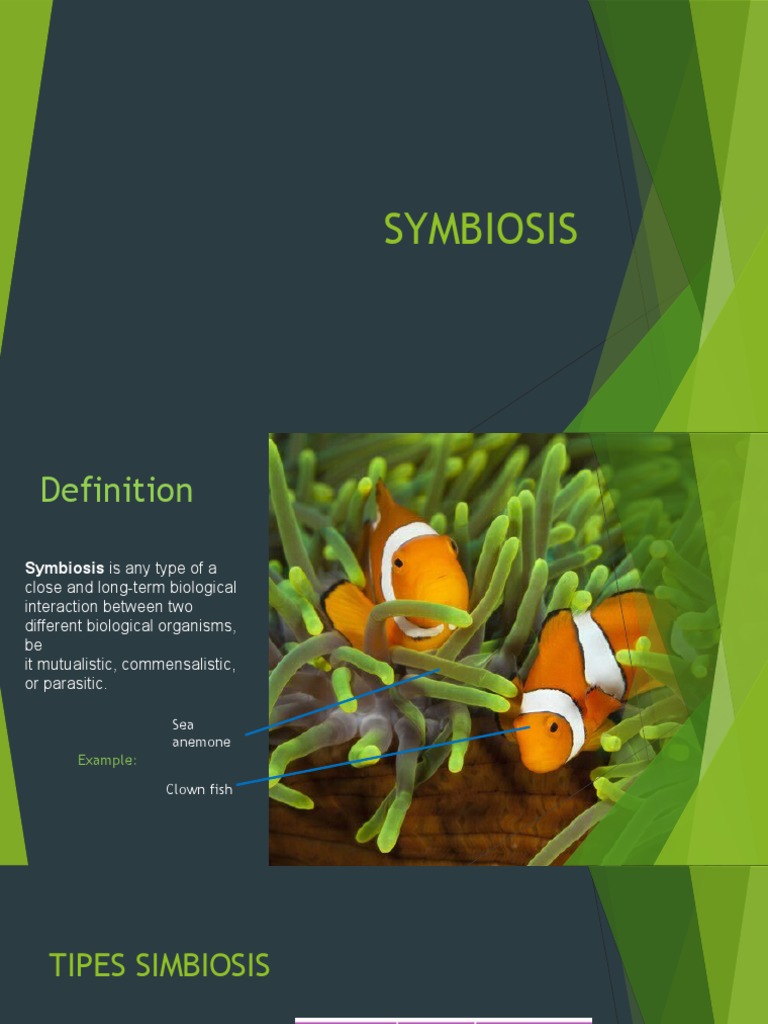 Symbiosis | PDF