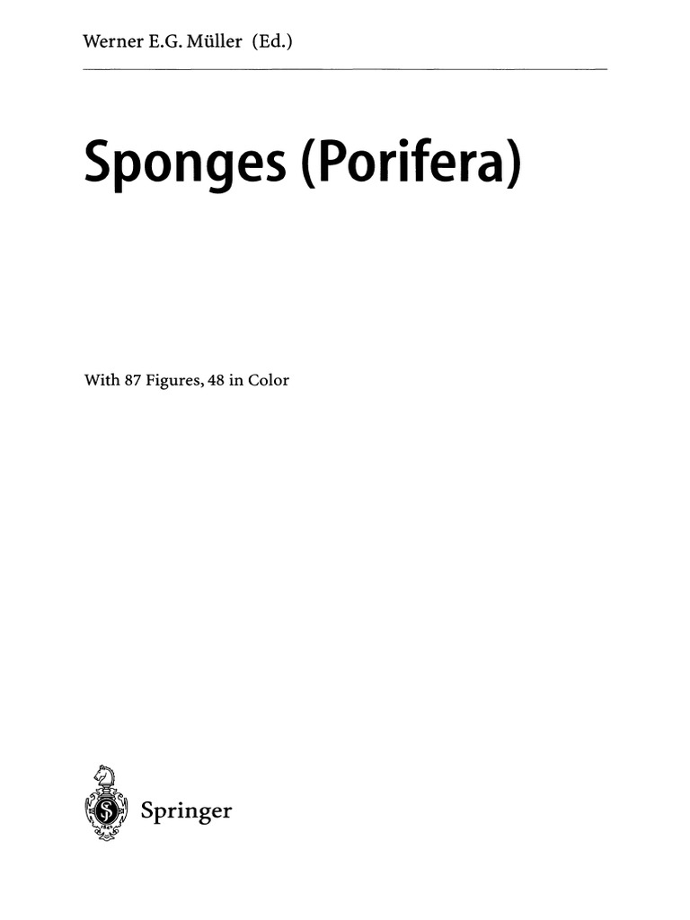 Sponges (Porifera) | PDF | Sponge | Signal Transduction
