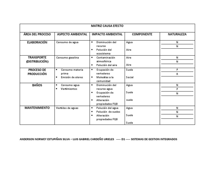 Matriz Causa Efecto | PDF