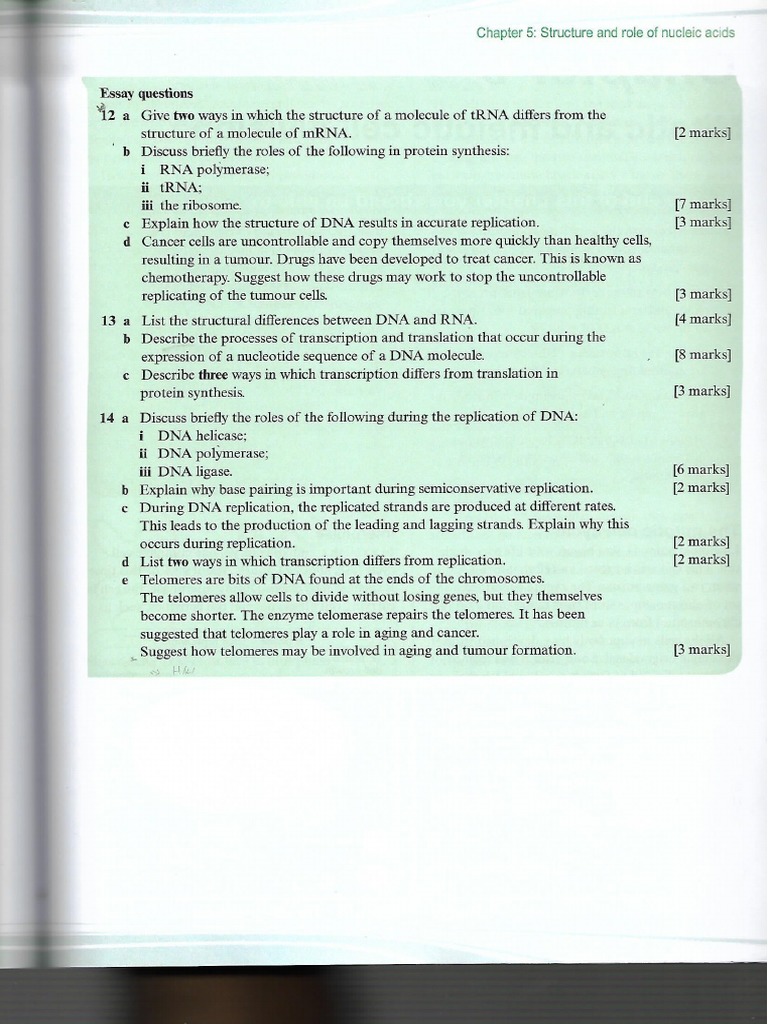 Nucleic Acids Worksheet | PDF | Science & Mathematics