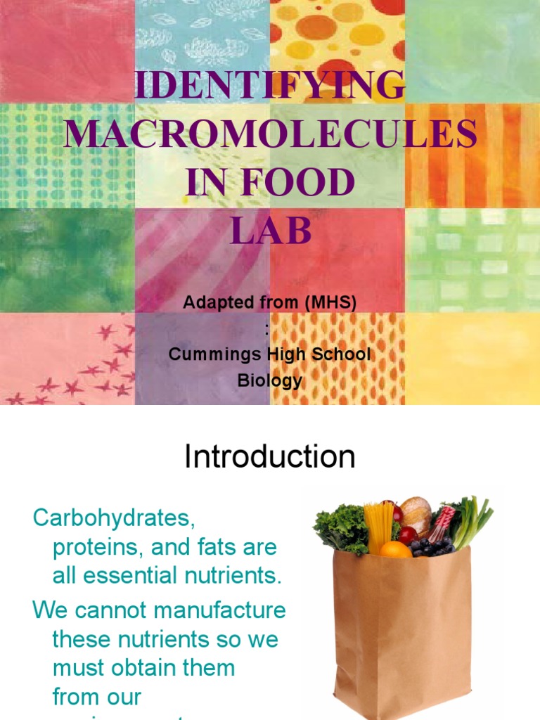 Identifying Macromolecules in Food LAB: Adapted From (MHS) : Cummings ...