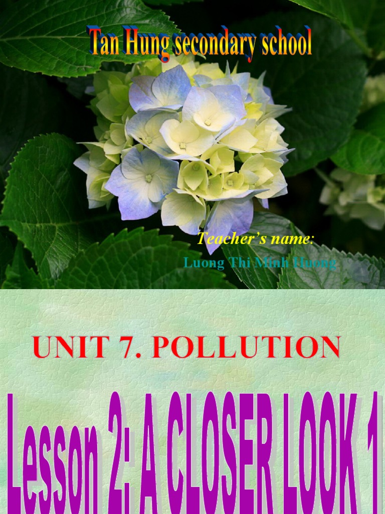 Unit 7 Pollution Lesson 2 A Closer Look 1 | Download Free PDF | Water ...