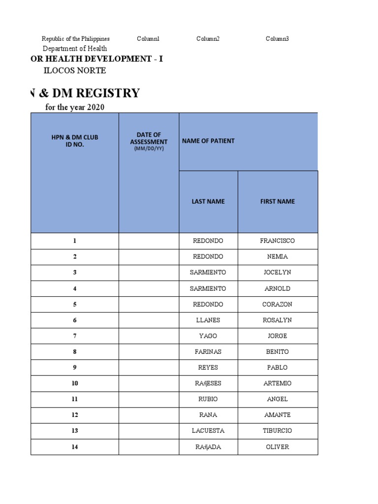 Ilocos Norte 2020 HPN & DM Registry | PDF