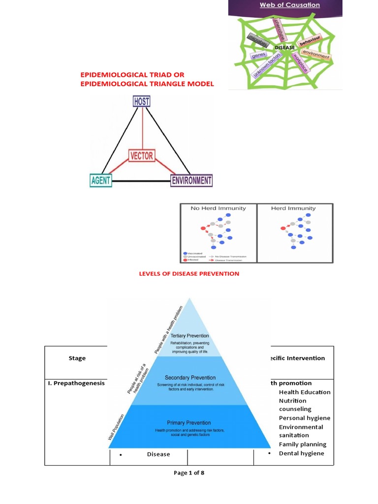 Epidemiological Triad or Epidemiological Triangle Model: Levels of ...