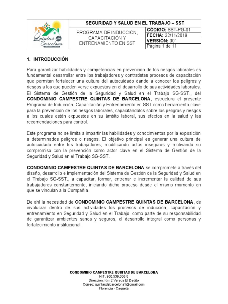 SST-PG-01 Programa de Inducción, Capacitación y Entrenamiento en SST | PDF | Seguridad y salud ...