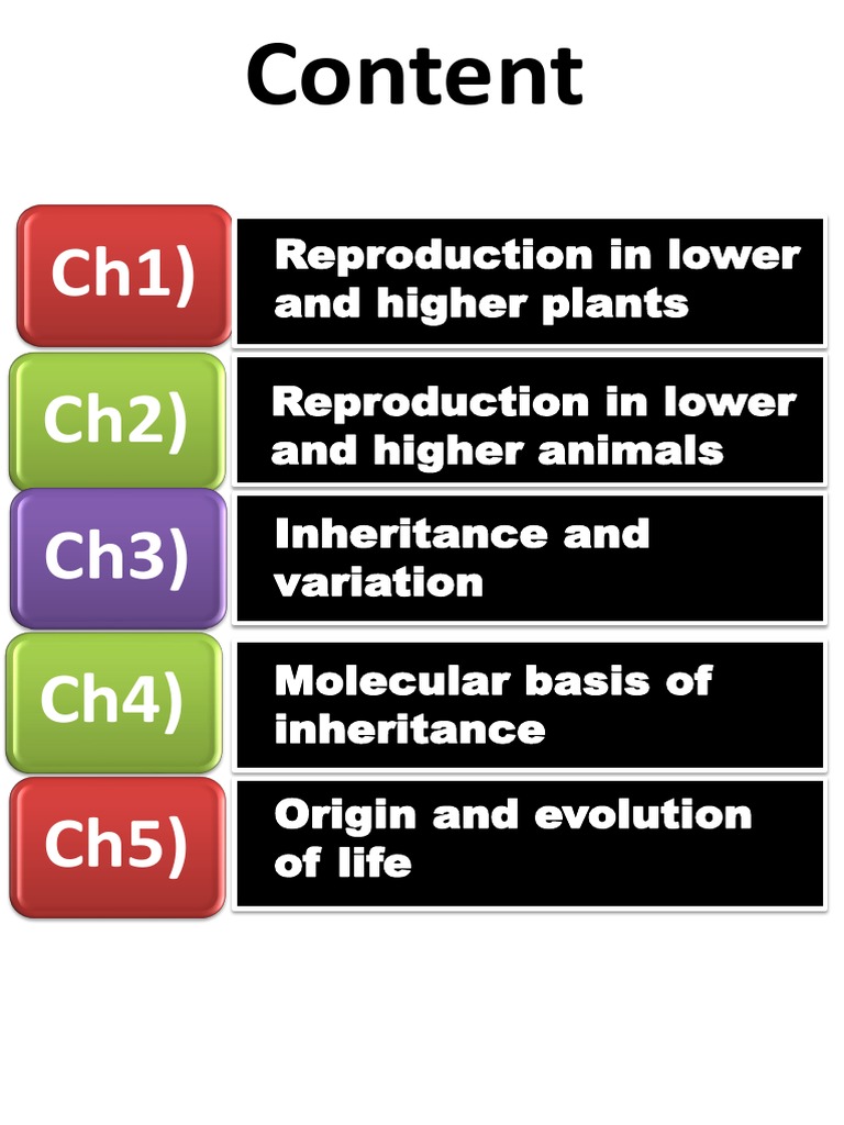Biology 12 HSC Notes | PDF | Seed | Ovary