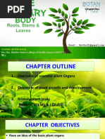 Class 6, Science, PPT, Getting To Know Plants | PDF | Leaf | Petal