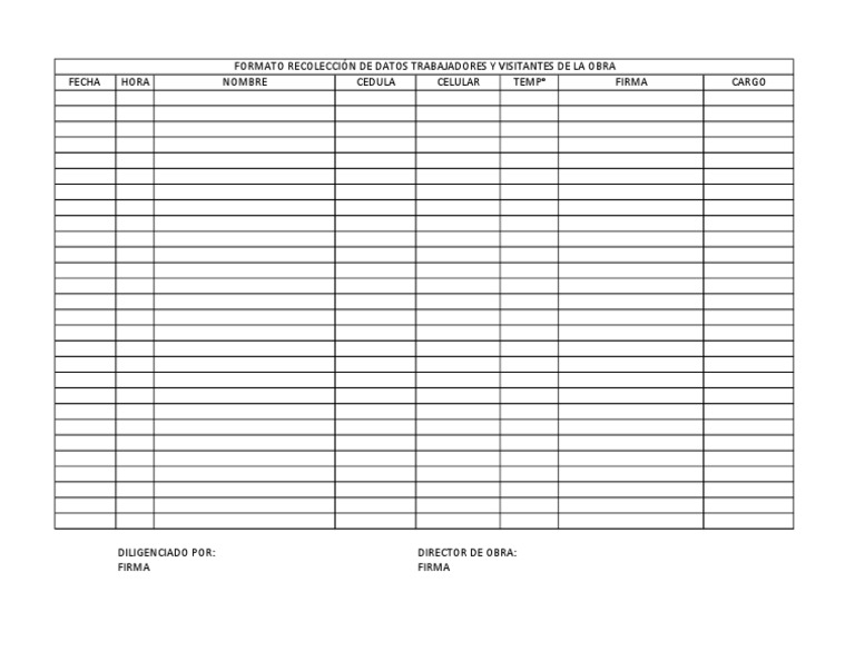 Formato Recolección de Datos | PDF