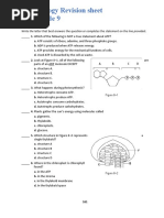 Photosynthesis Hhmi Biointeractive | PDF | Photosynthesis | Physiology