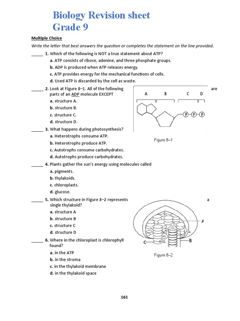 Grade 9 Biology Revision Sheet | PDF | Cellular Respiration ...
