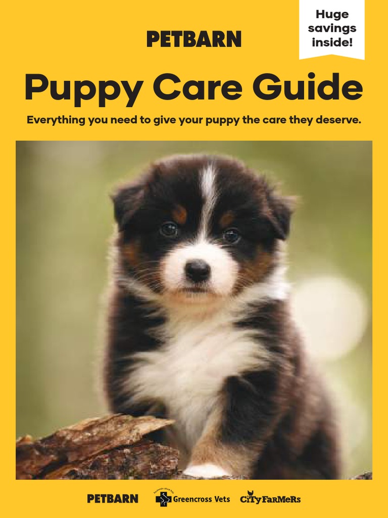 Puppy Care Guide | PDF | Border Collie | Foods