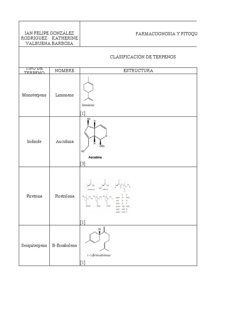 Clasificación Terpenos Pdf Plantas Química Orgánica