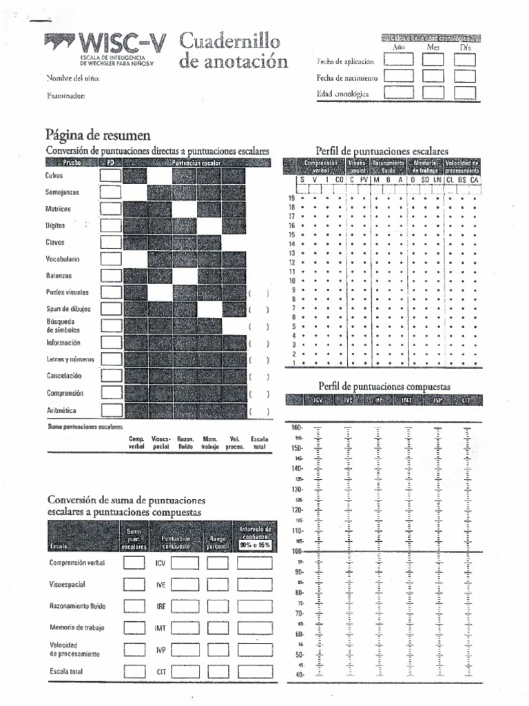 Protocolo WISC V | PDF