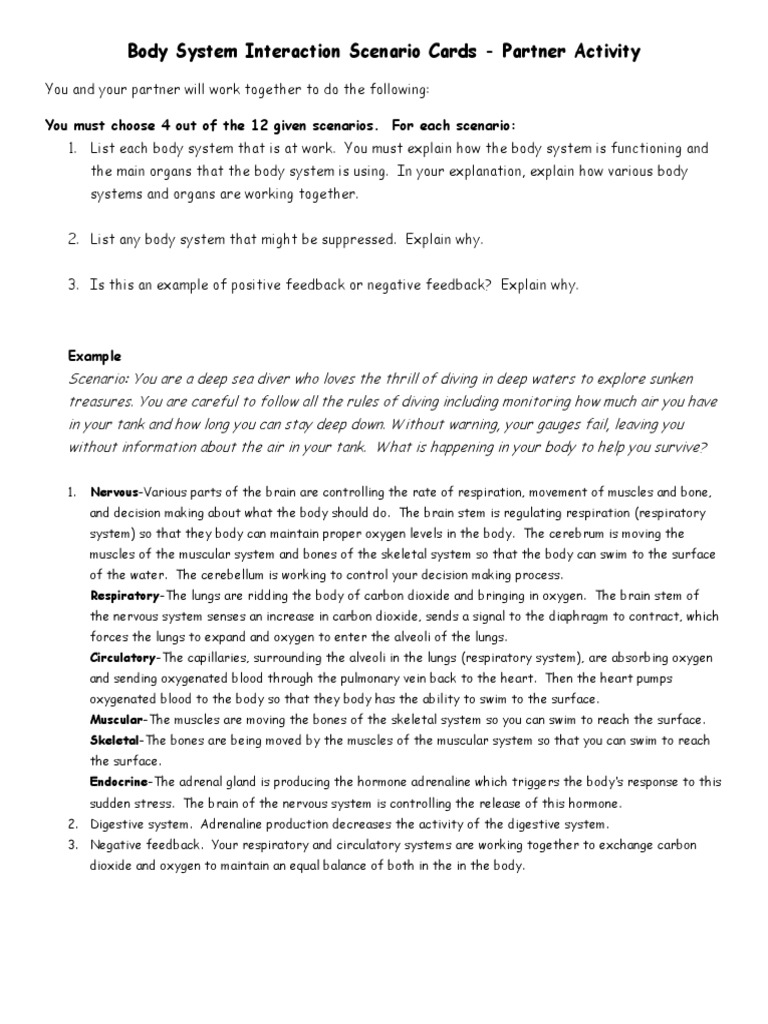 Body System Interaction Scenario Cards | PDF | Human Body | Breathing