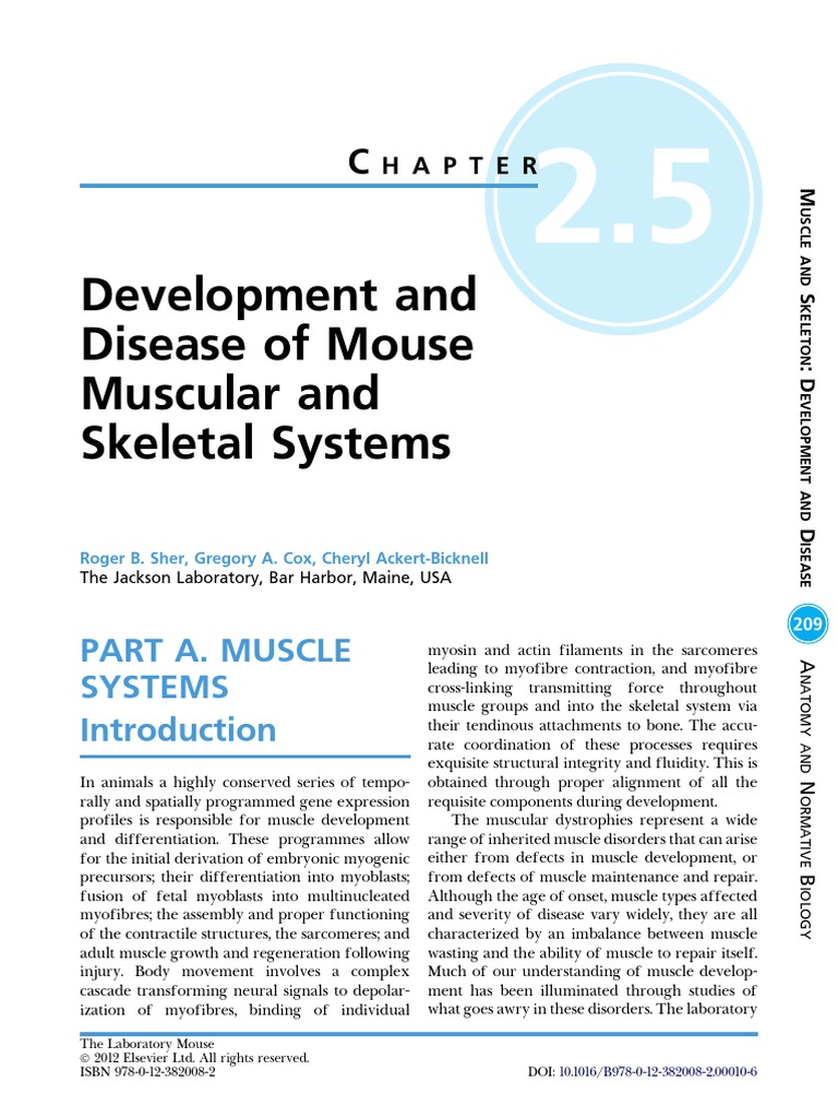 Development and Disease of the Muscular and Skeletal Systems in Mice: A ...