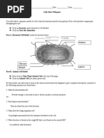 BC Science 8 Workbook Answers | PDF | Electromagnetic Spectrum ...